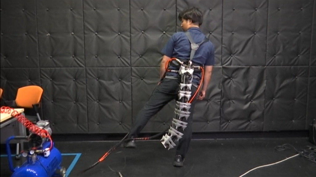 Wearable robotic tail could improve balance in humans - ABC News