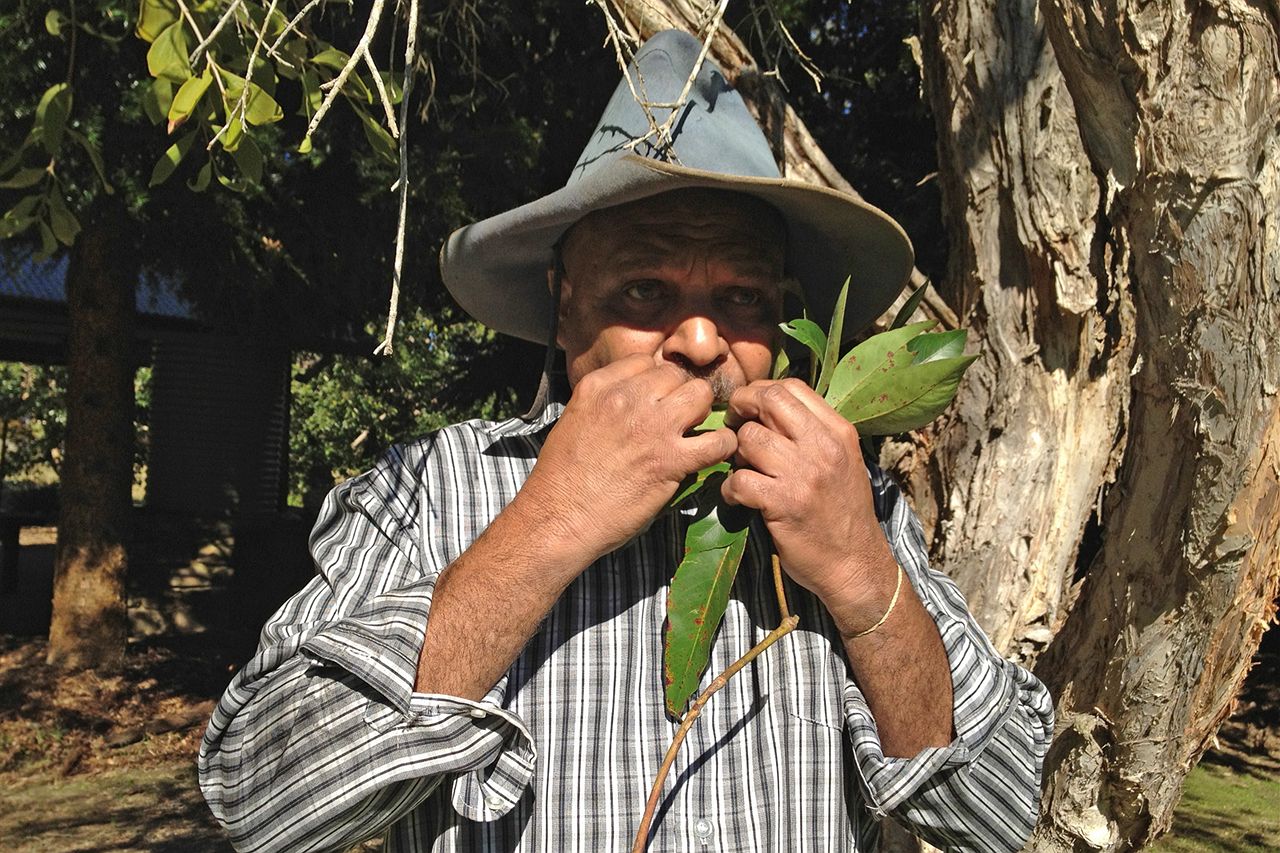 Big bush tucker garden handed back - ABC News