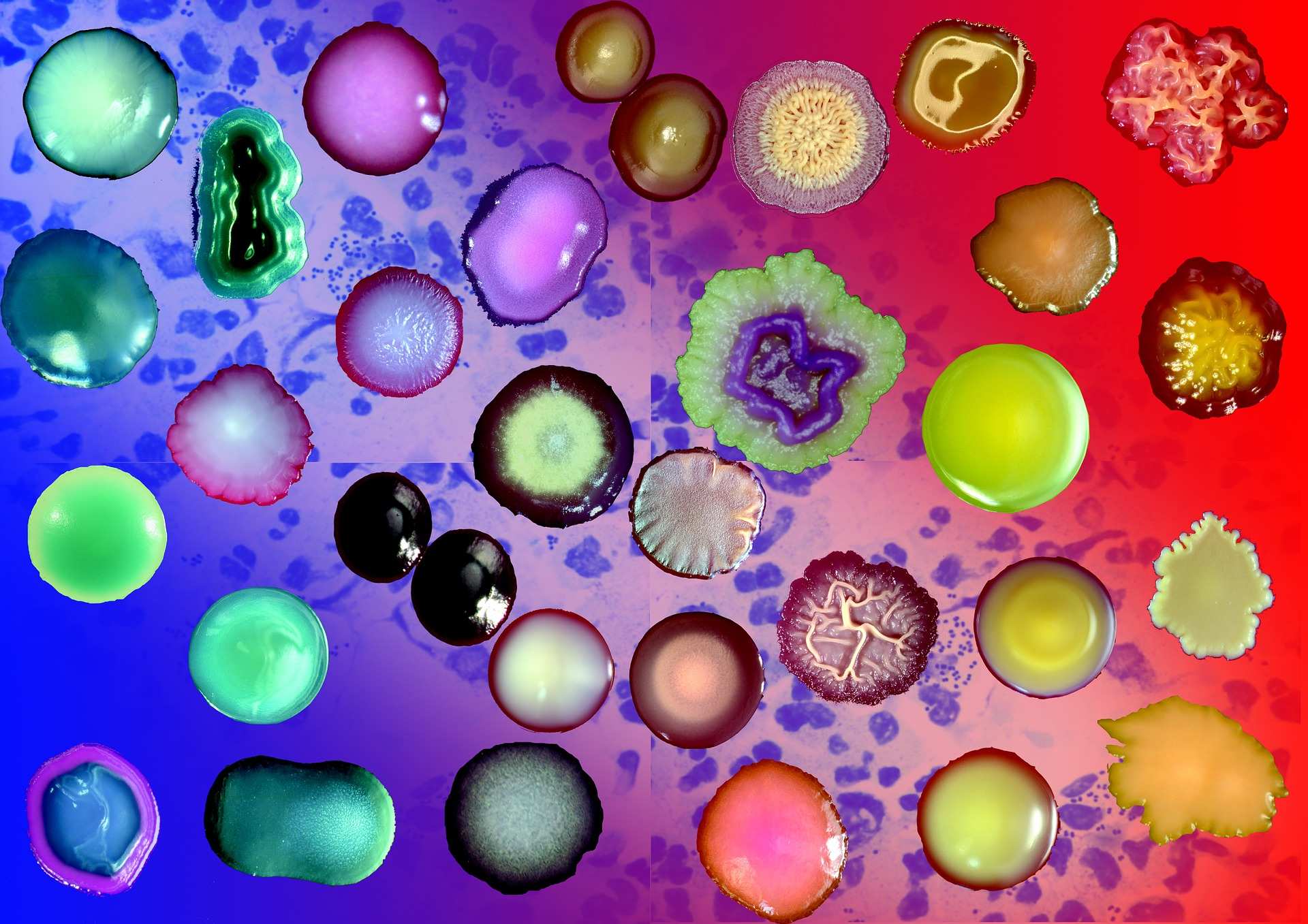 How a painting's microbiome might help restore artworks and find fakes ...
