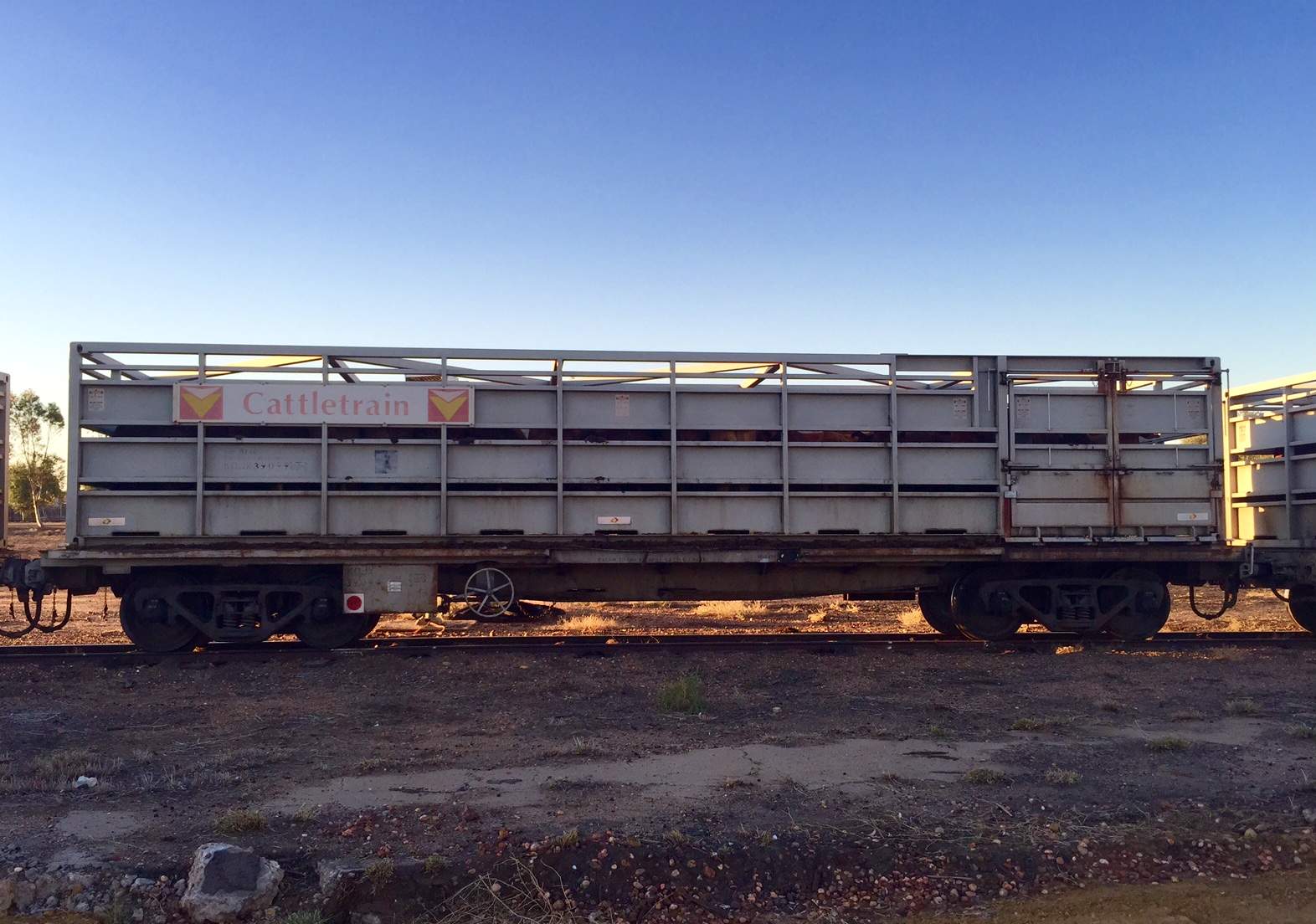 South west Queensland pushes for more rail services for cattle - ABC News