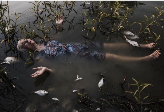 Murray-Darling art exhibition hopes to raise awareness of 'national ...