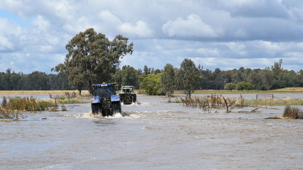 Condobolin - 2877 - Location - ABC News