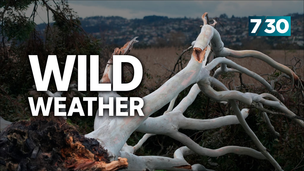 Extreme Weather Events - Topic - ABC News