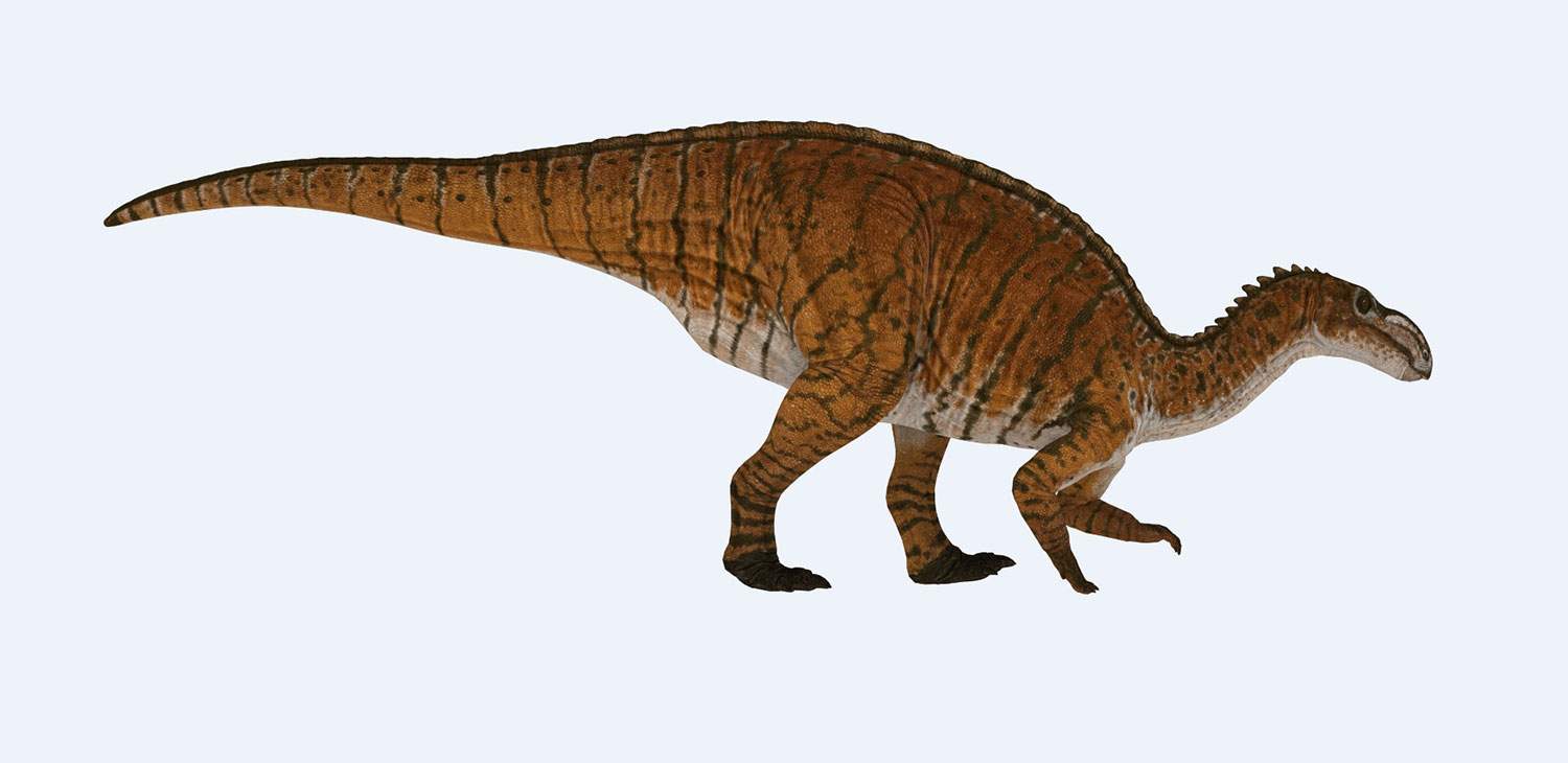 Dinosaurs made lifelike in world's most scientifically accurate ...