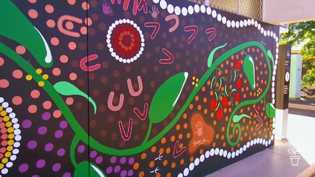 Street Art - Gardening Australia