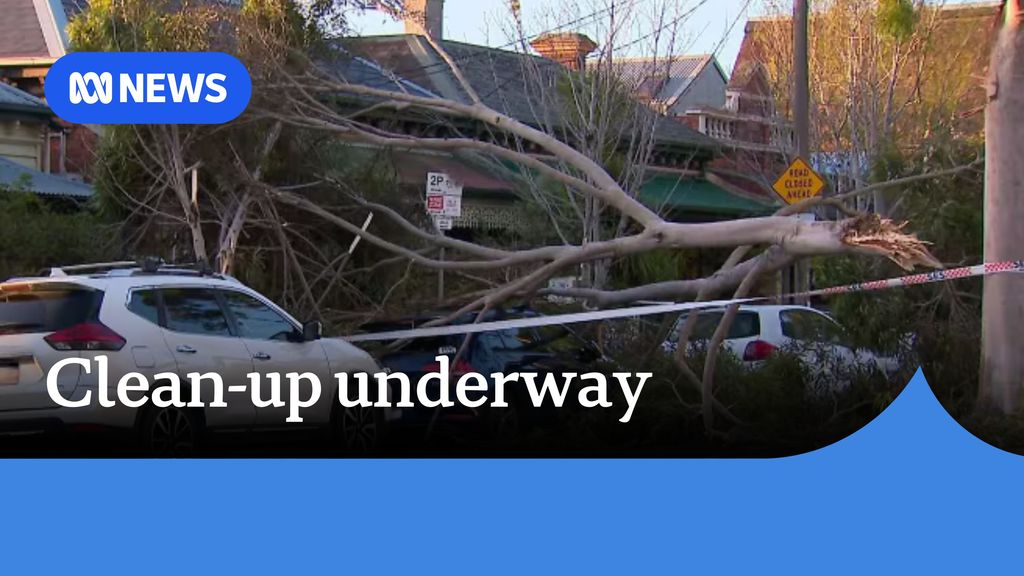 Recovery efforts continue in Victoria after destructive winds - ABC News