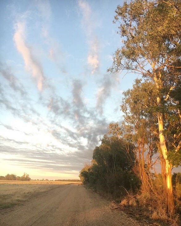 NSW heatwave: Records tumble in Moree, while Sydney set to swelter with ...