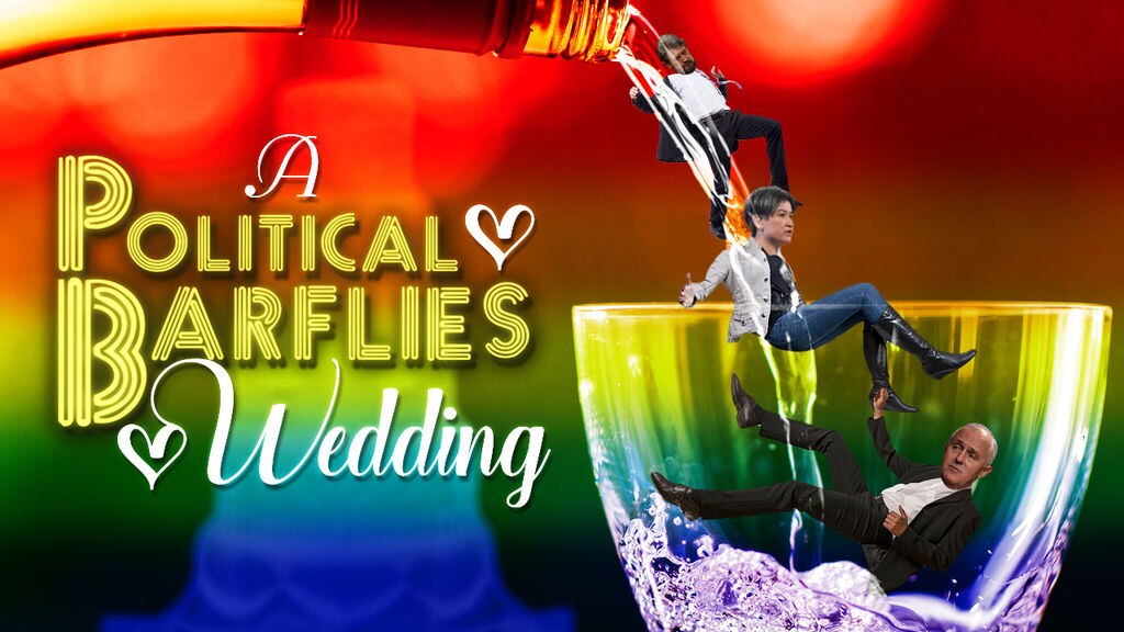 A Political Barflies Wedding - ABC News