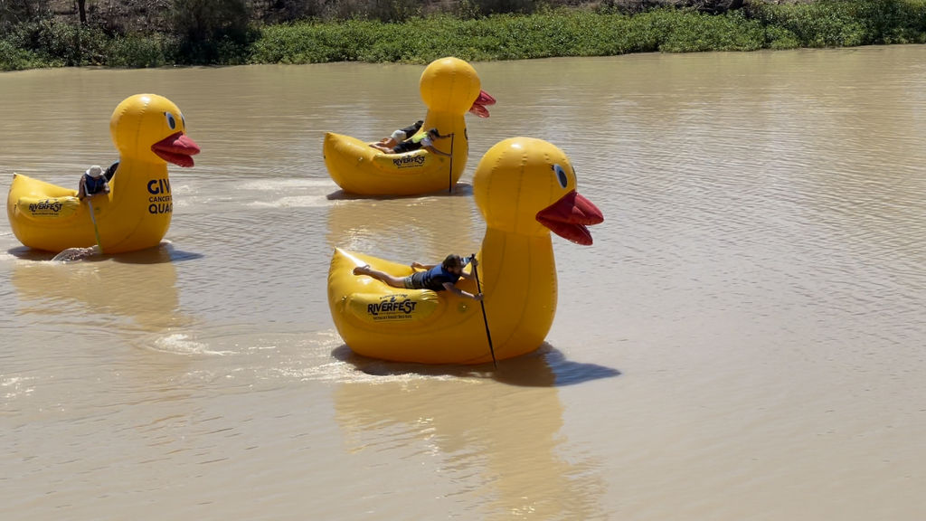 Duck racing at Longreach’s Outback Paddle Regatta - ABC News