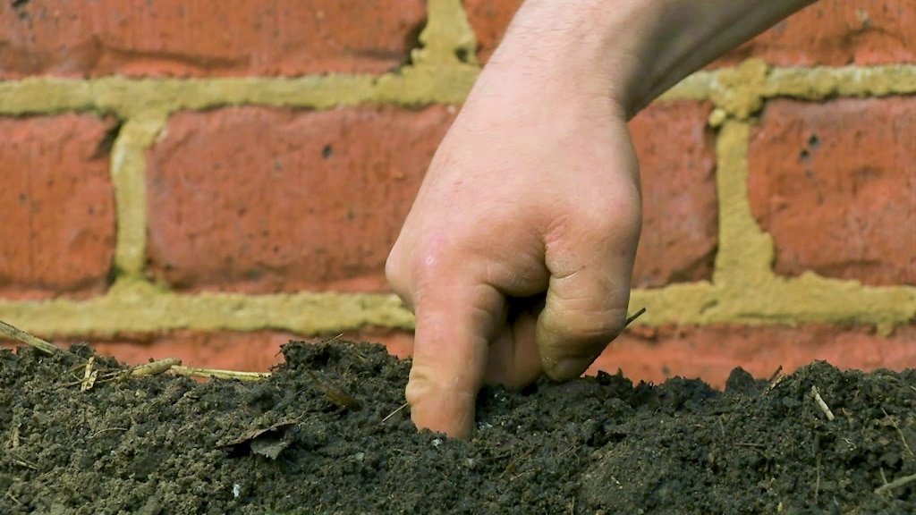 Gardening Australia recap: The beauty of nature… and bee stings - ABC News