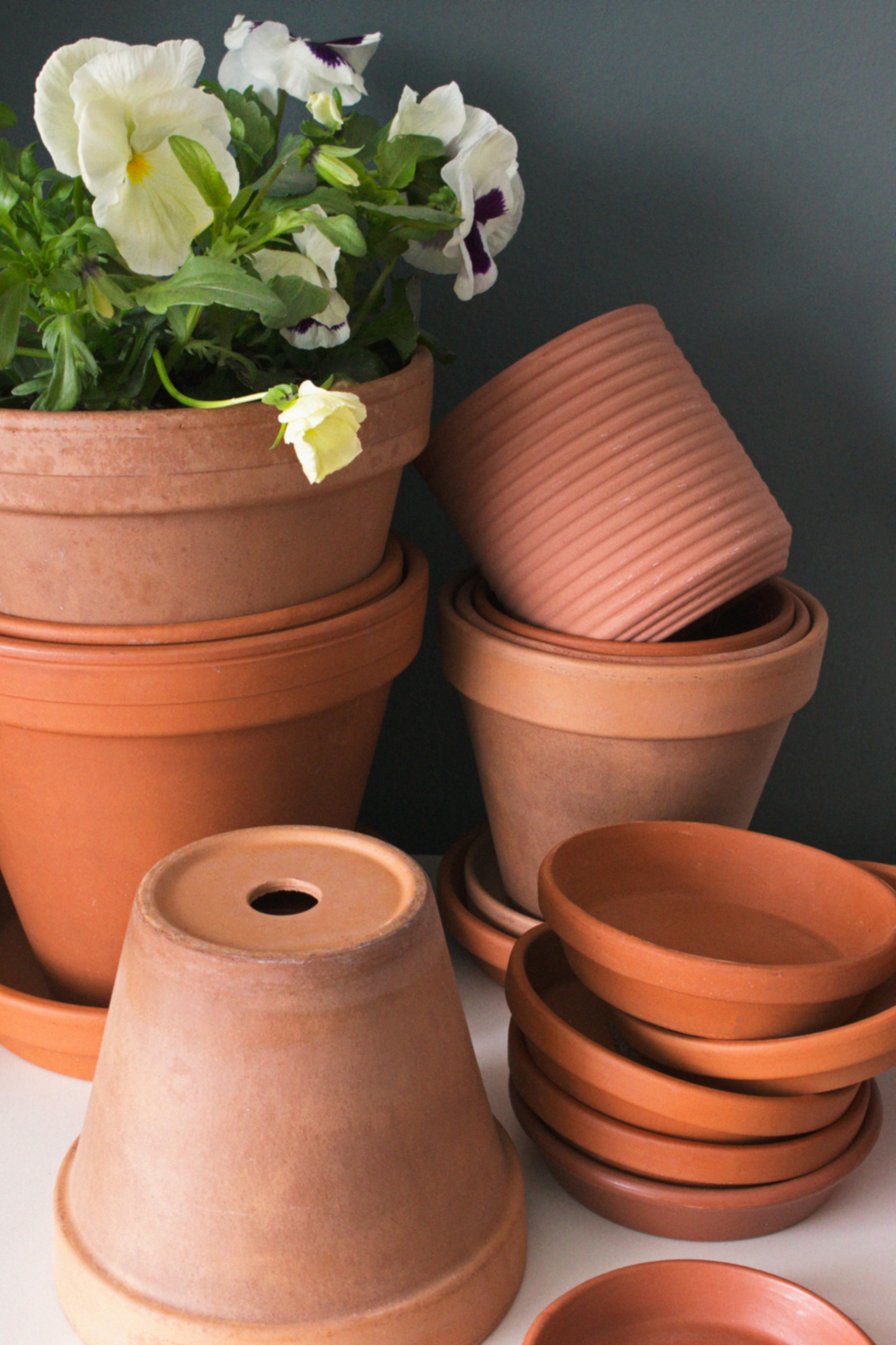 Choosing the right pots for your plants - ABC listen