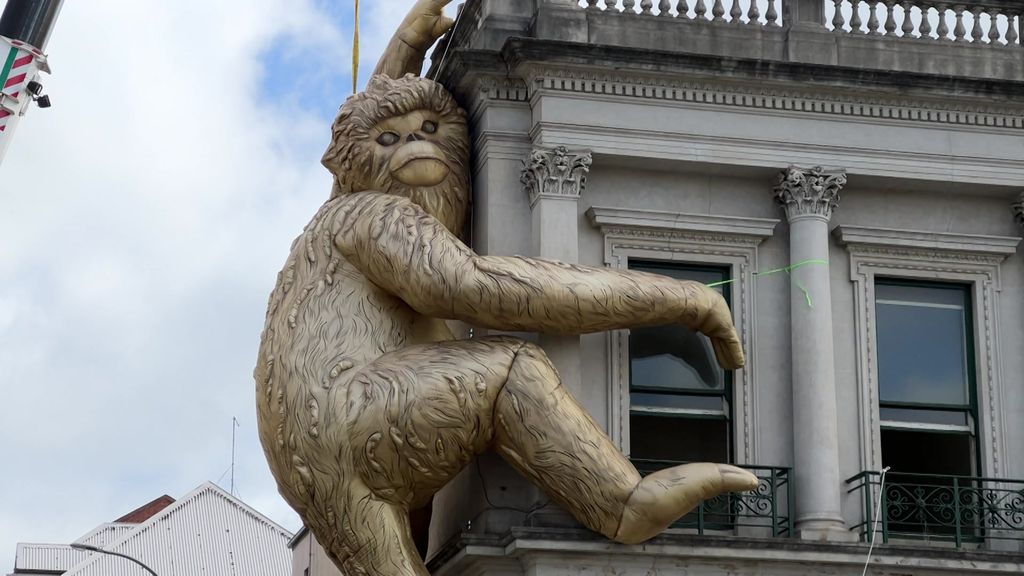 Giant golden monkey installed on Ballarat building - ABC News