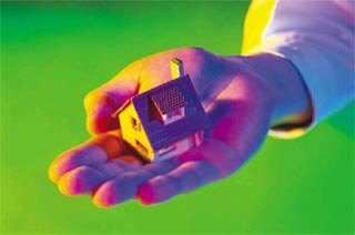 NAB lowers interest rate forecasts - ABC News