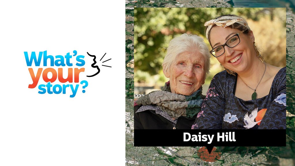 A tragic event in Alyson's life led to a drastic bee change - ABC News