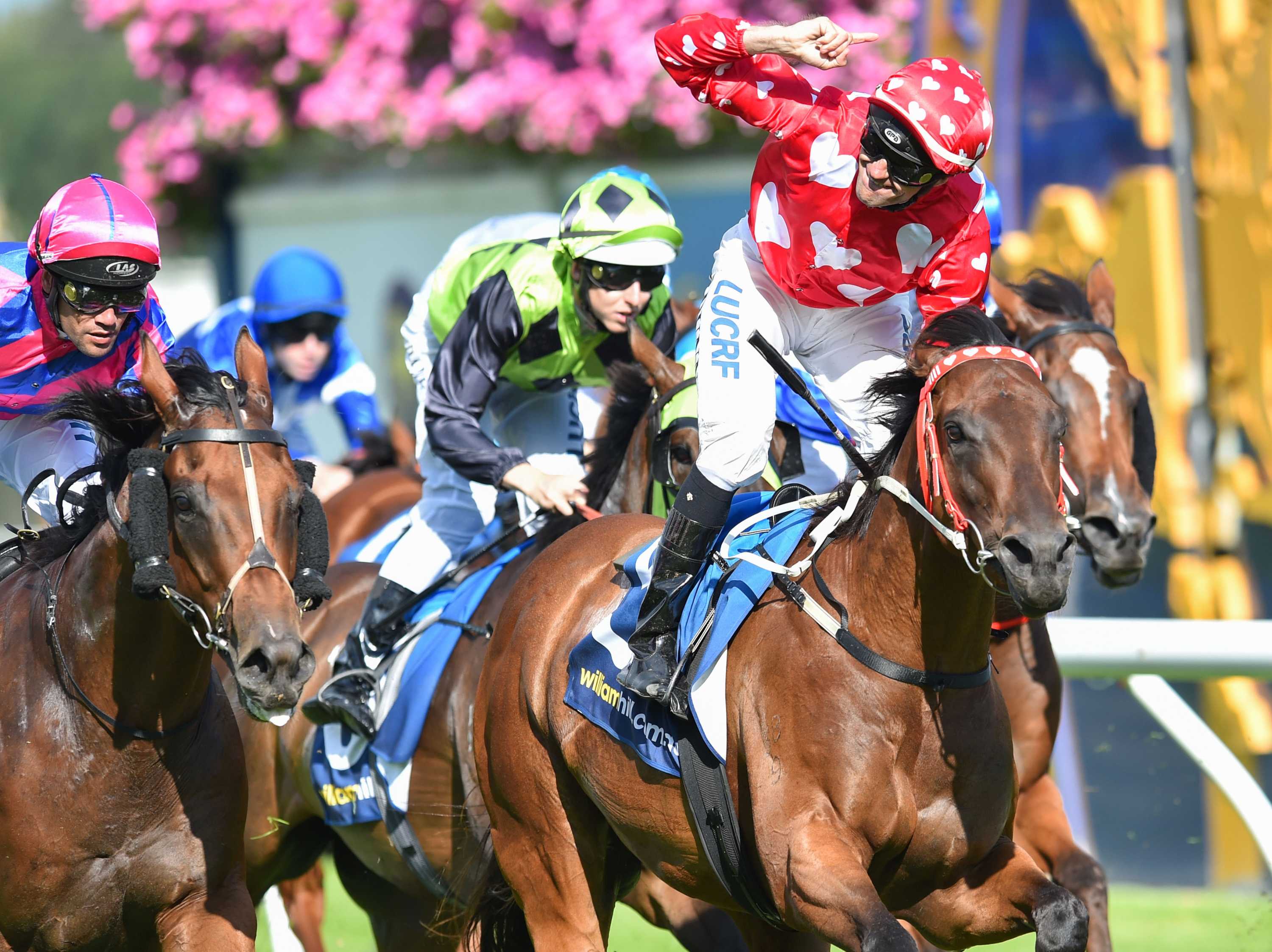 Shamal Wind wins Oakleigh Plate; Sauvito lands upset in Futurity Stakes ...