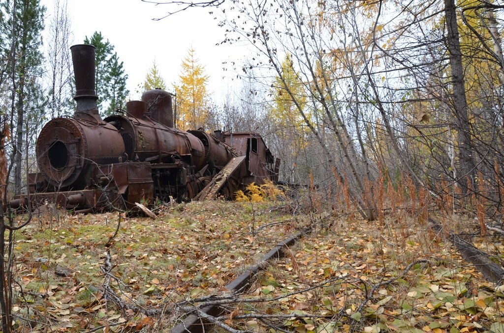 Bears, vodka and Harry Potter: The hunt for Stalin's forgotten gulags ...