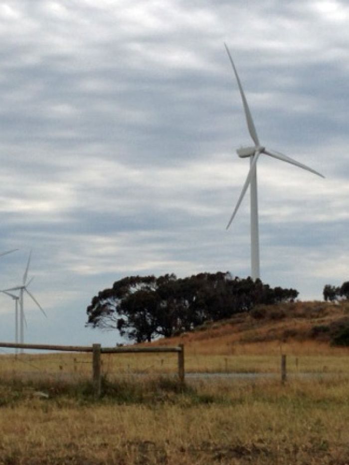 SA blackouts caused by faulty power line importing coal-fired ...