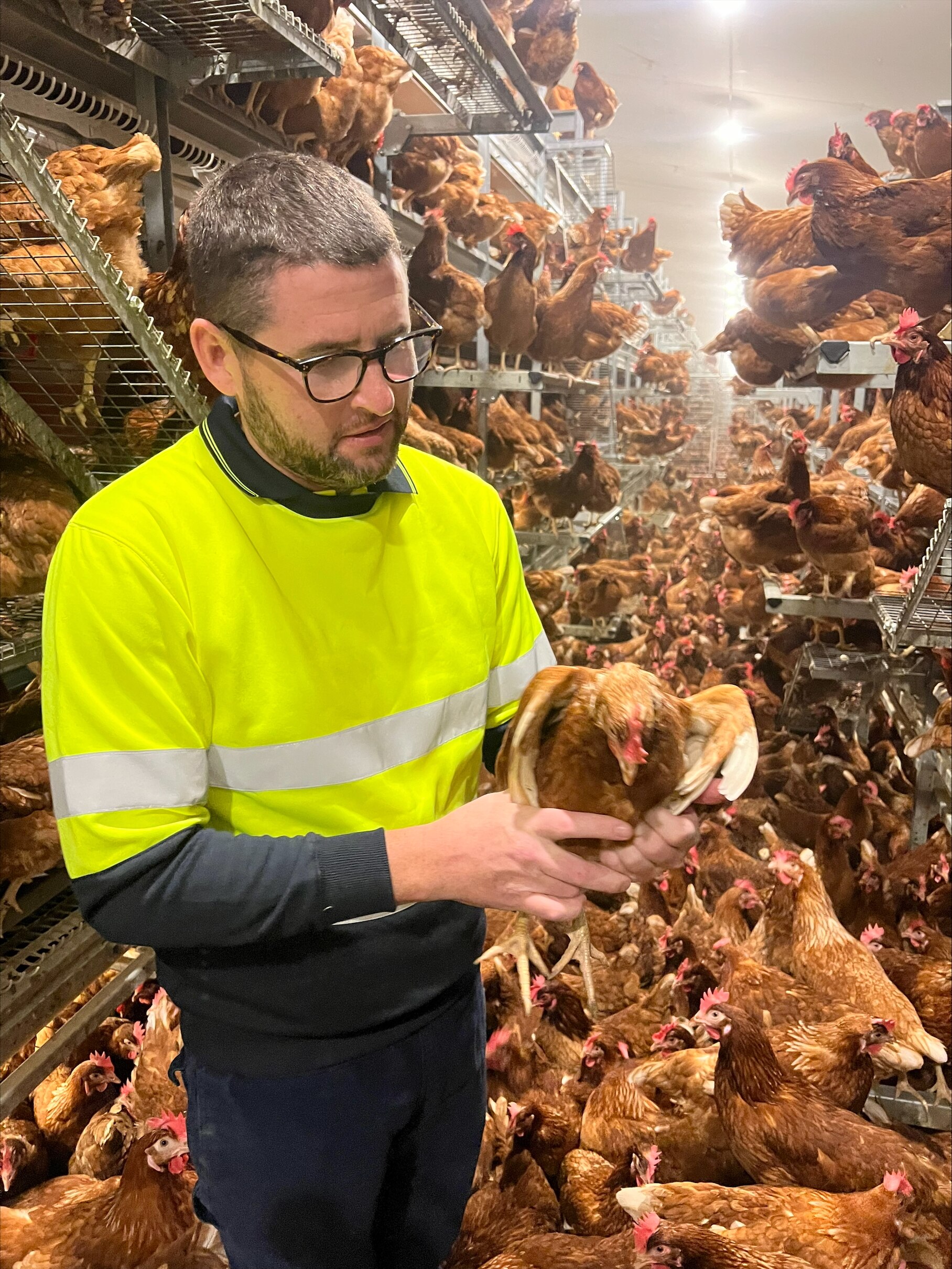 Millions being spent as Australia prepares for deadly H5 strain of bird ...