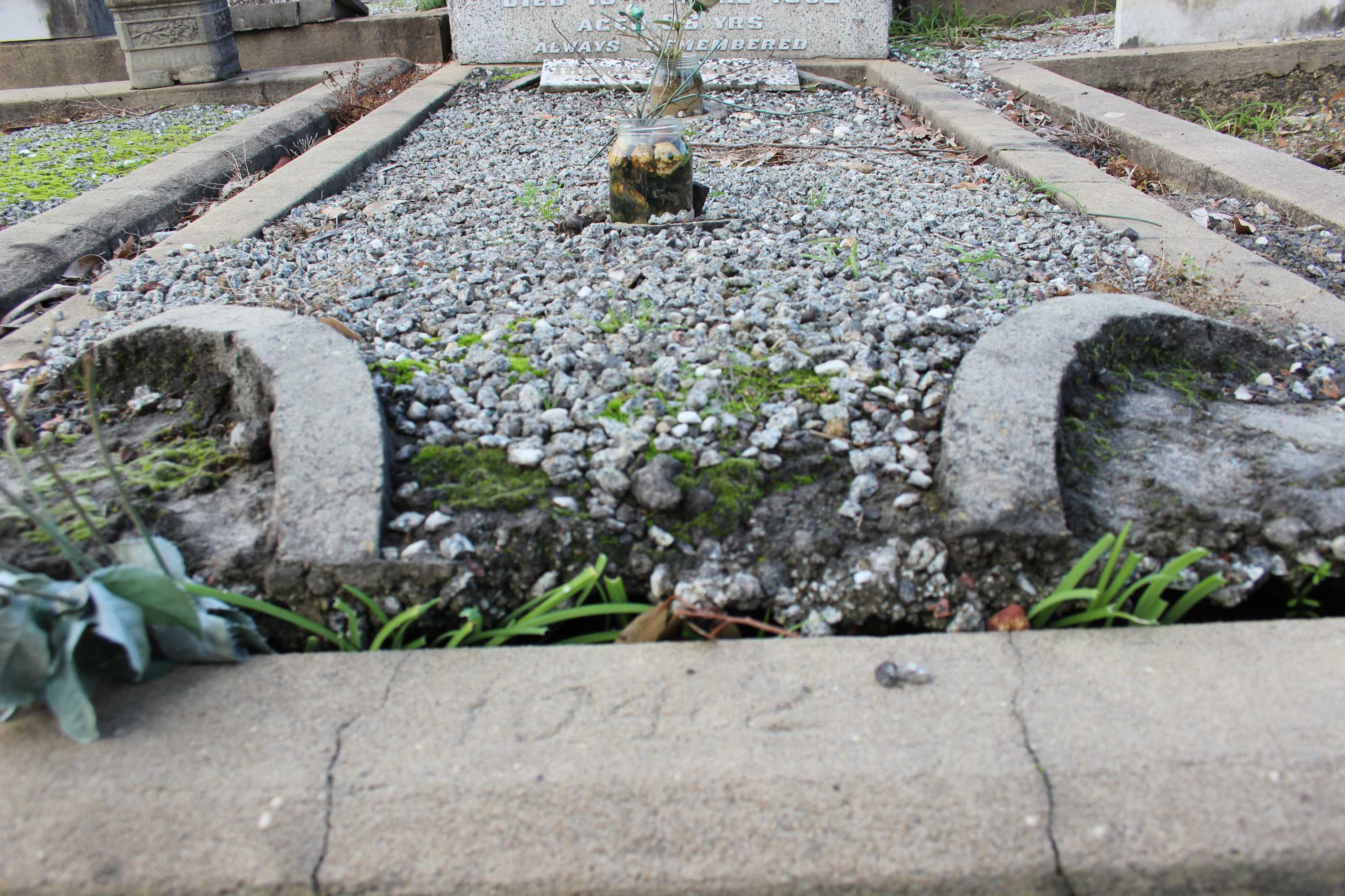 Landscaping for the dead - ABC Radio National