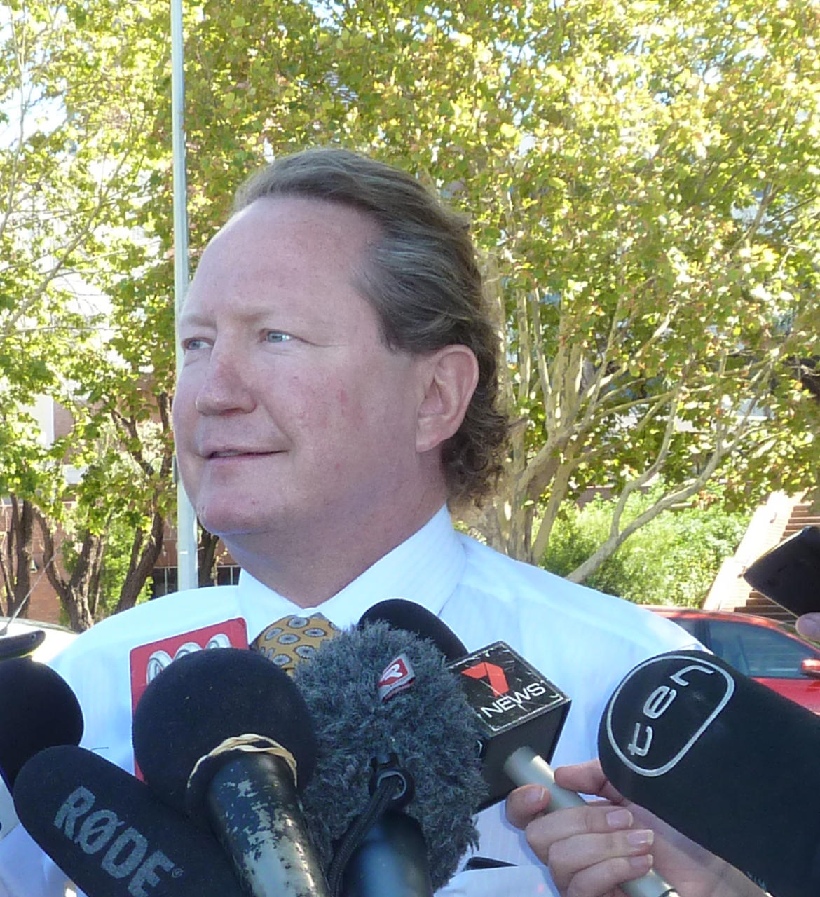 Andrew Forrest standing down as CEO of Fortescue - ABC listen