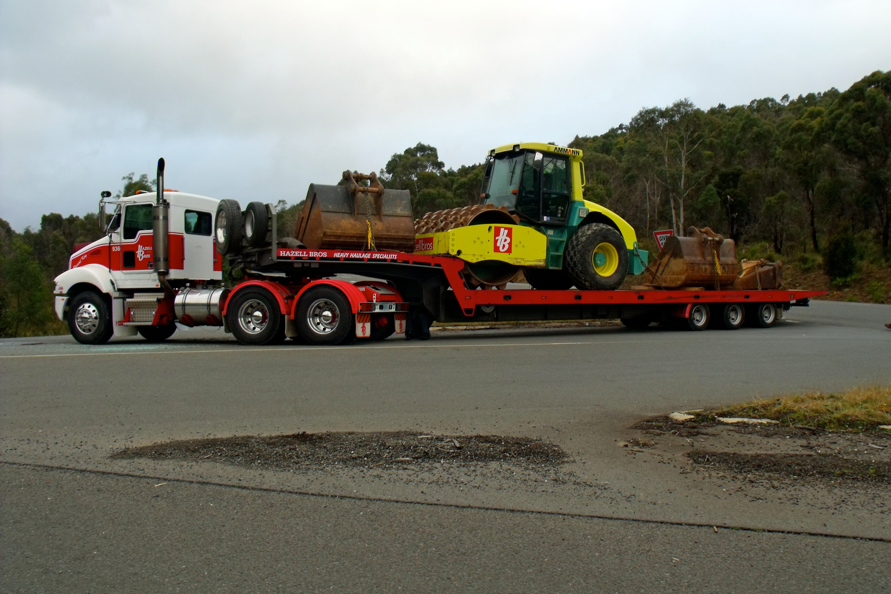 Anti-pulp mill protester remanded in custody - ABC News