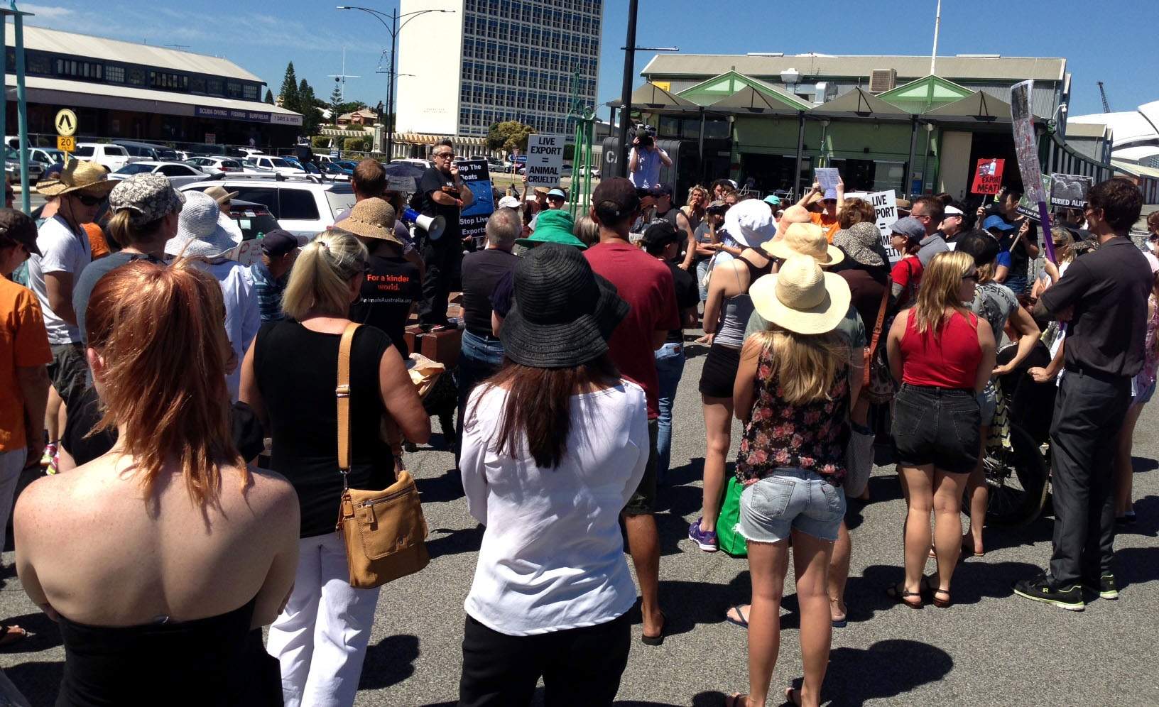 A protest against live animal export in Fremantle has attracted about ...