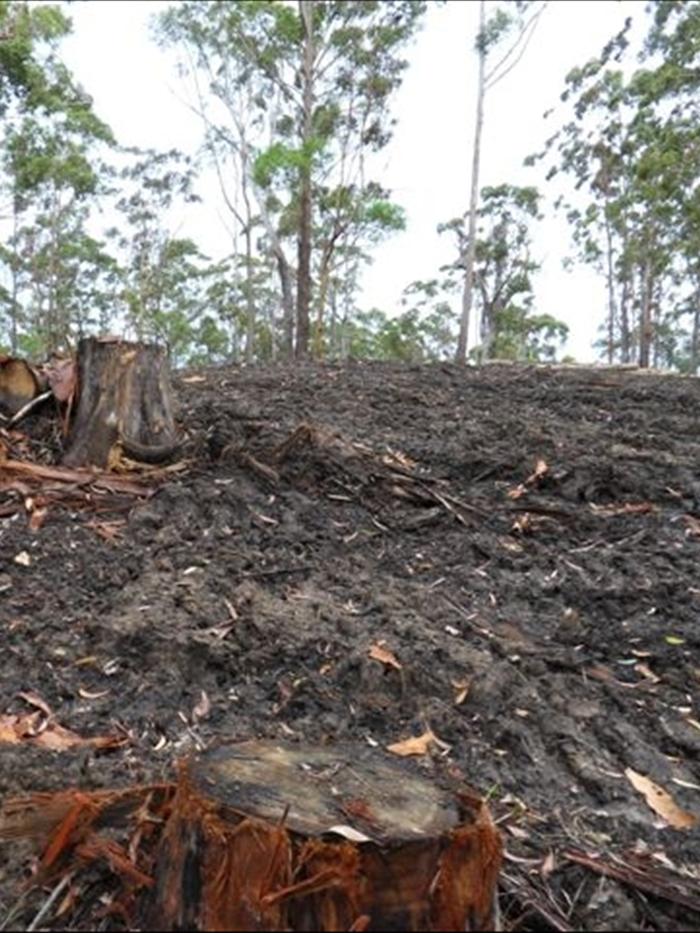State of the environment: report - ABC News