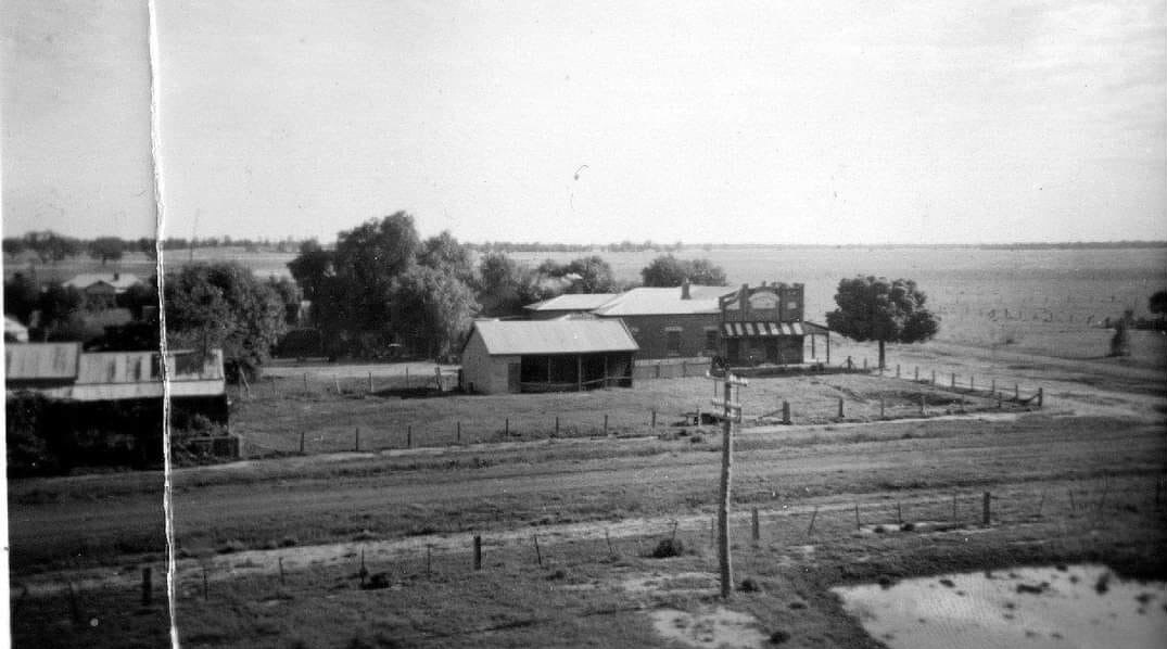 Essential Energy apologises after removing significant 130-year-old ...