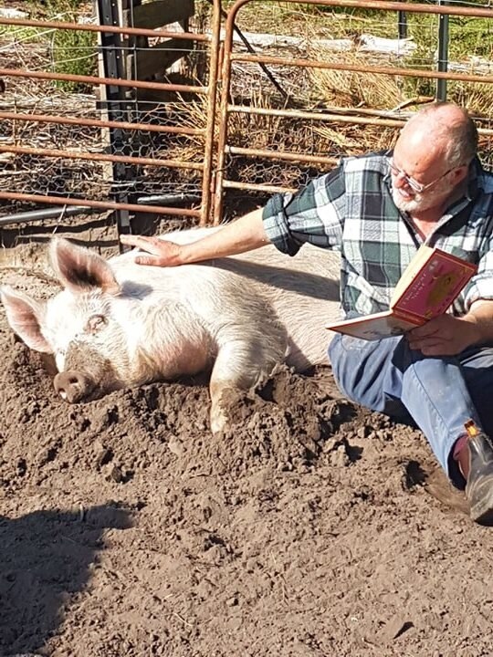 Dr Seuss is the cure for this depressed pig - ABC listen