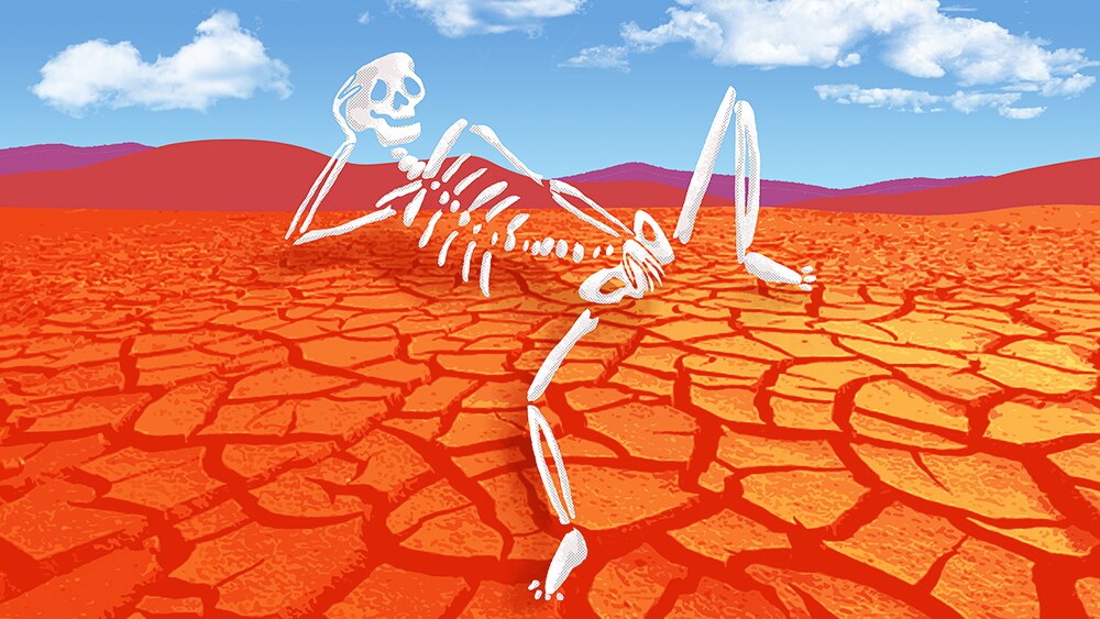 How to survive a dry spell - triple j