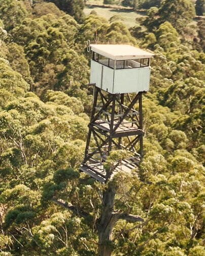 Treetop bushfire lookouts in karri forest turn 75, climb them if you ...