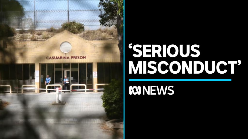 Palaeontologists work to unearth Australia's first complete plesiosaur ...