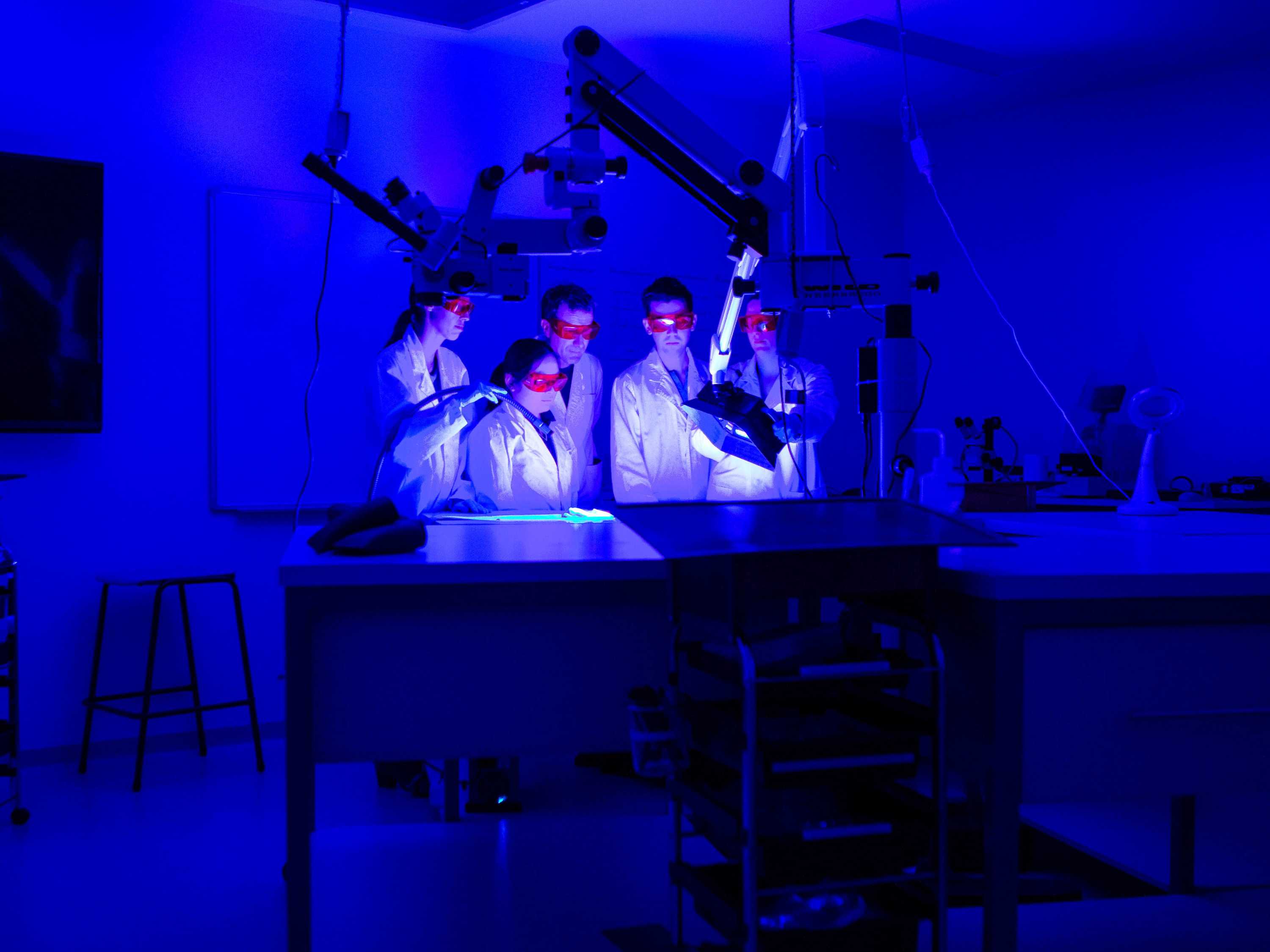 DNA testing by University of Canberra forensics lab to make molecular ...