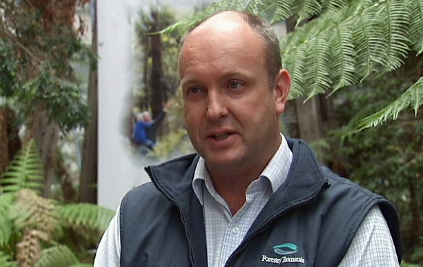 Forestry Tasmania announces new boss - ABC News