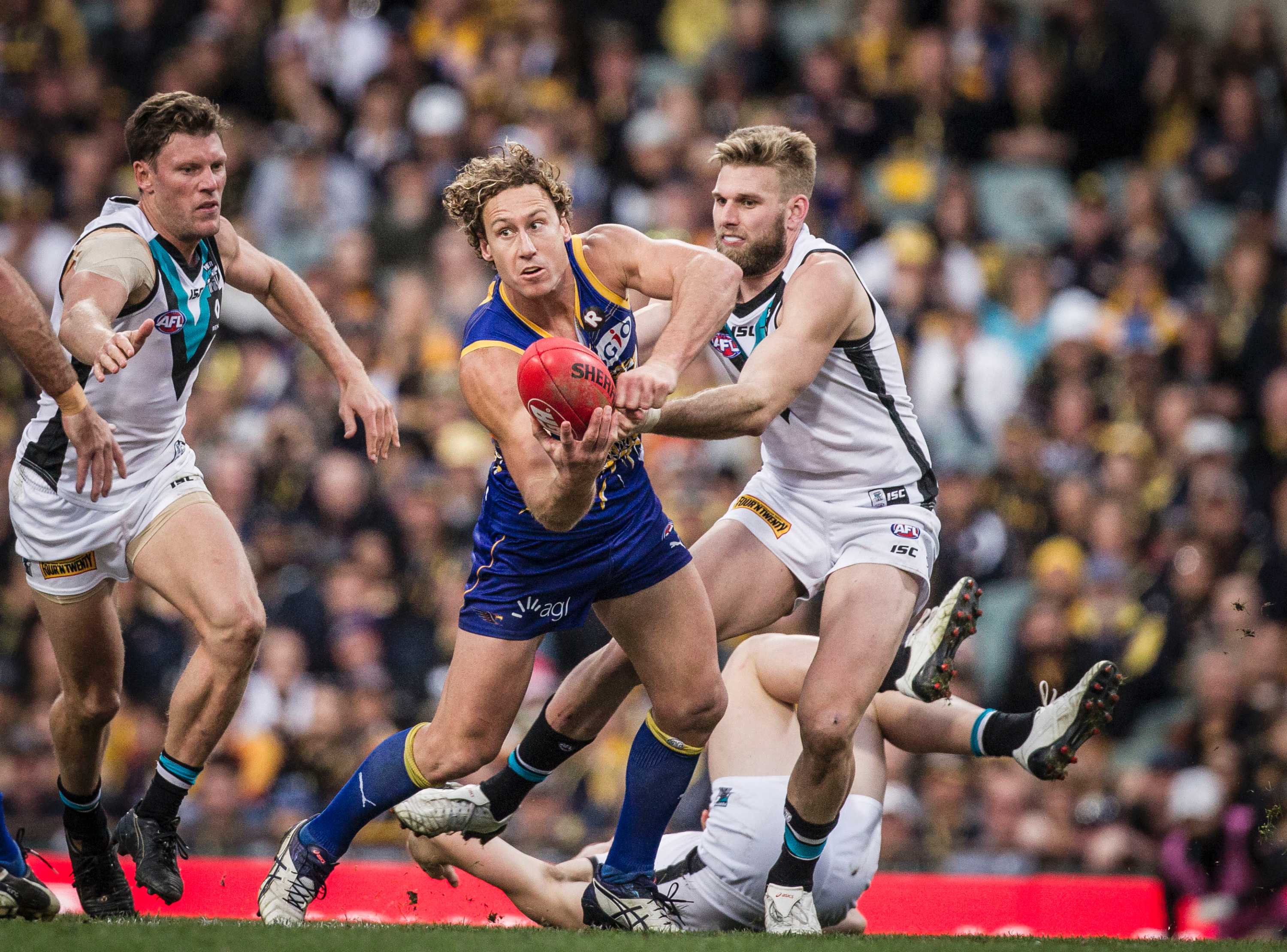 Matt Priddis announces AFL retirement after glittering West Coast ...