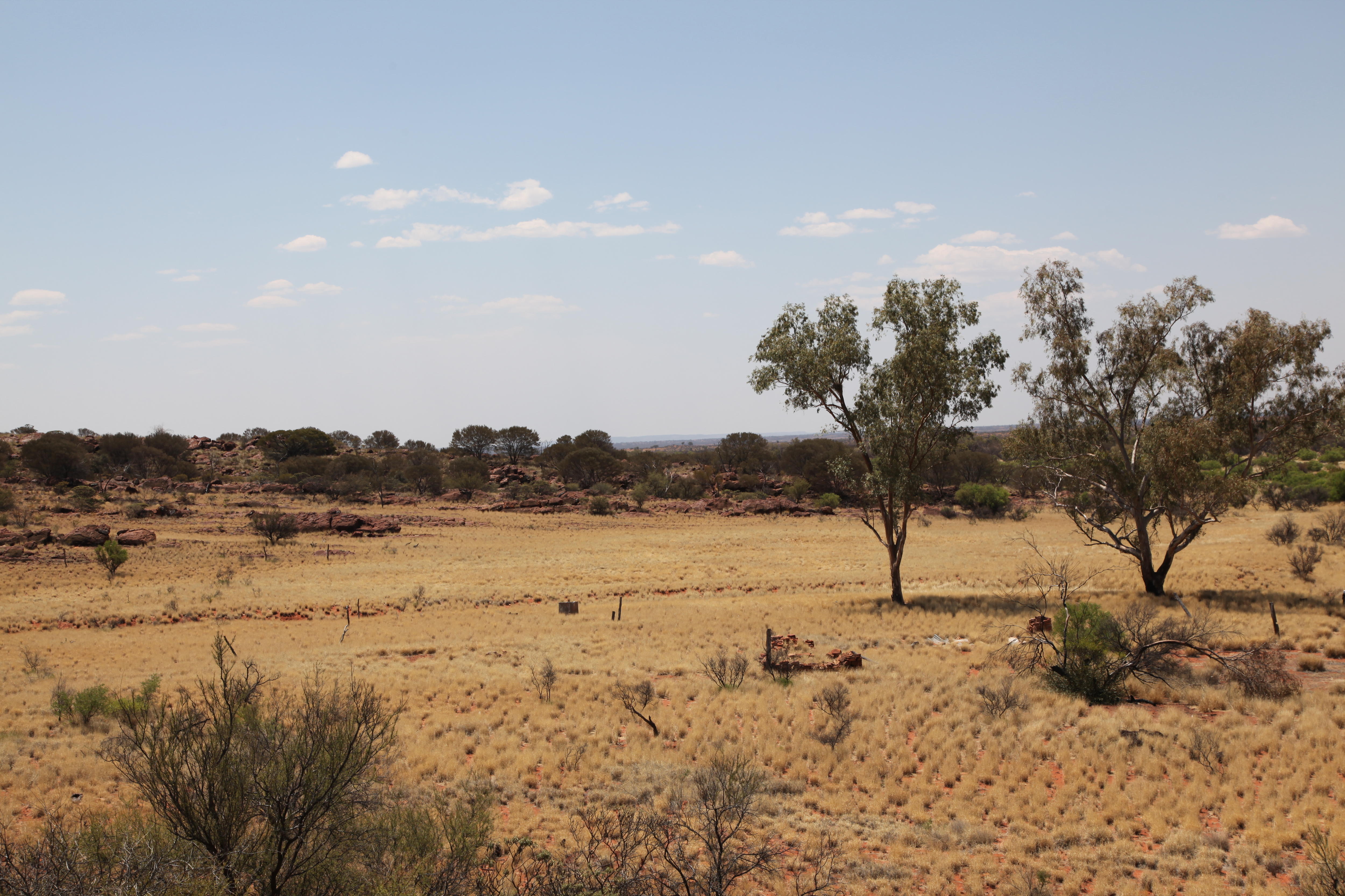 Myth and history on a Central Australian pastoral station - ABC listen