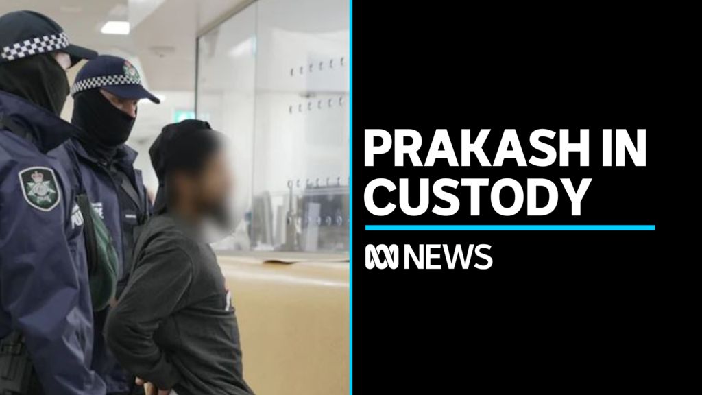 Judge orders extradition of alleged Islamic State terrorist - ABC News