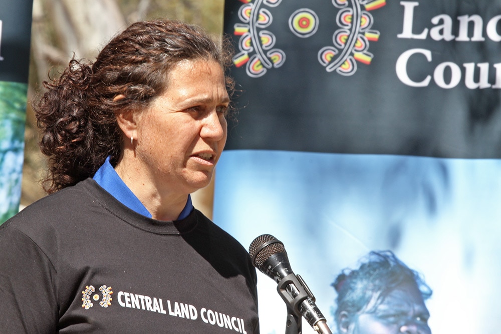 First native title determination for pastoral lease in southern ...
