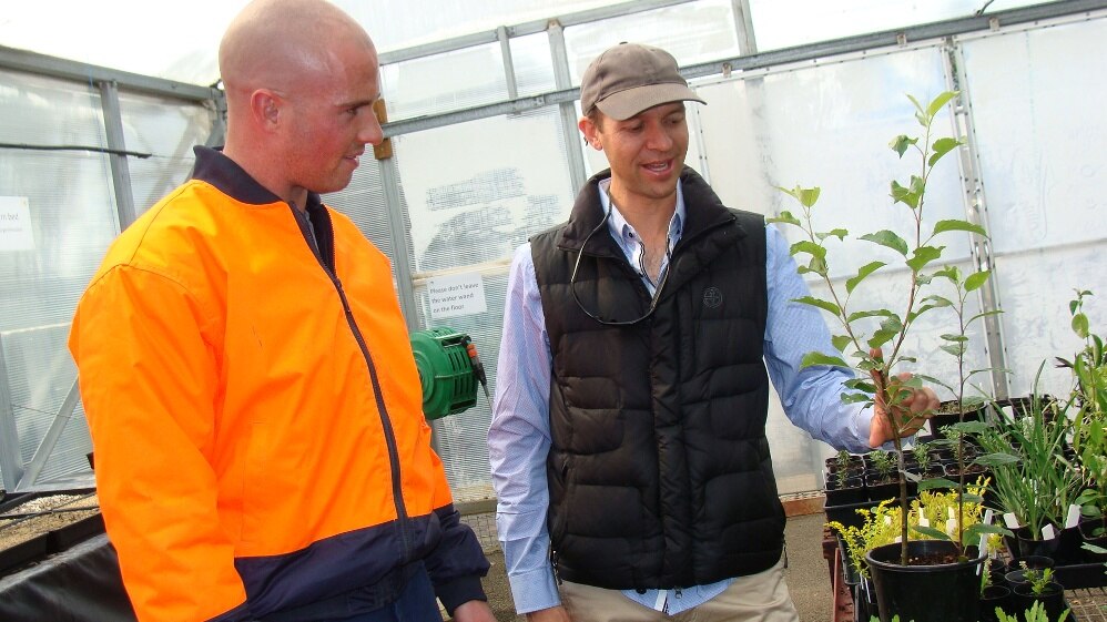 Need work? Horticulture students in demand as Tasmanian agriculture ...