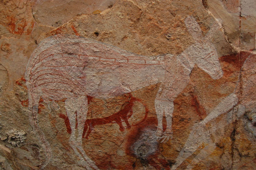 Aboriginal DNA dates Australian arrival - ABC News