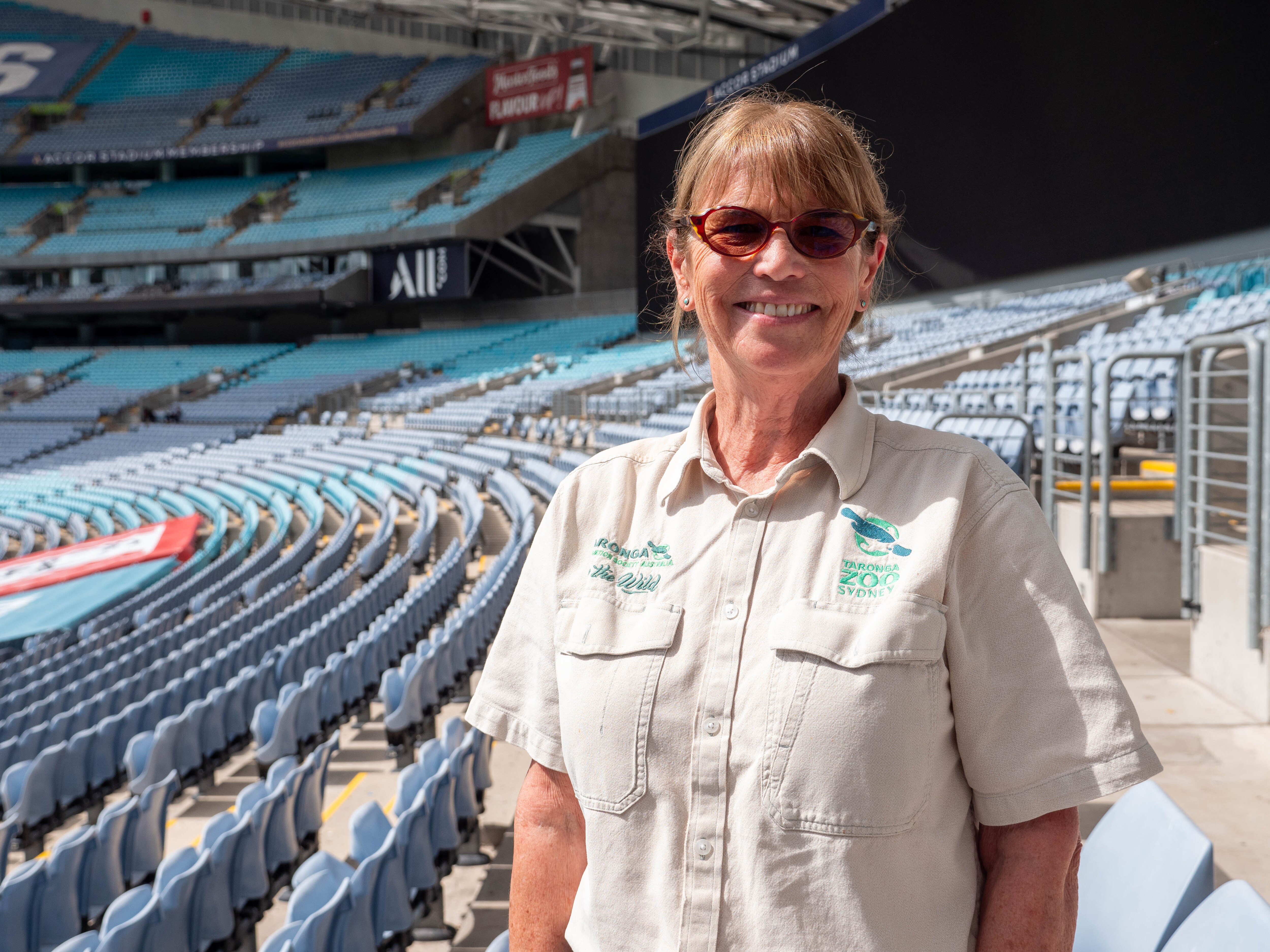 Swifty the peregrine falcon that crashed Taylor Swift concert set-up ...