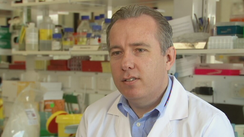 Alzheimer's disease: New drug, detection process could be treatment ...