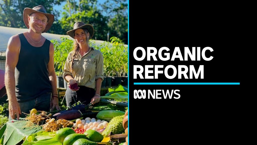 'Organic' labels are misleading consumers and regulation needs to catch ...