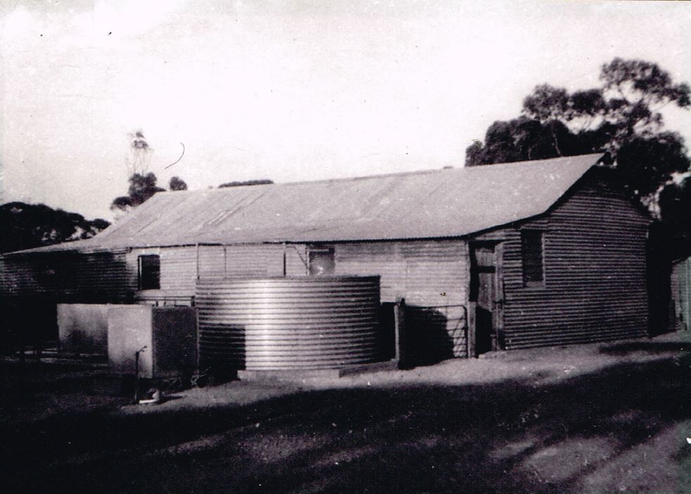 Farmers with grand designs open modern shearing shed in South Australia ...