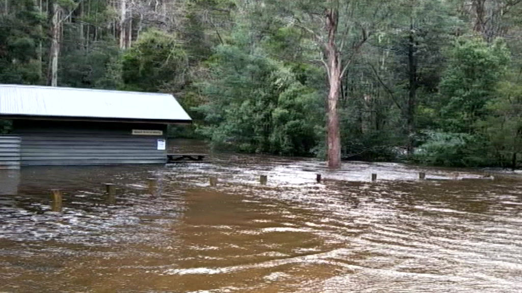 Mount Field camp ground flooded - ABC News