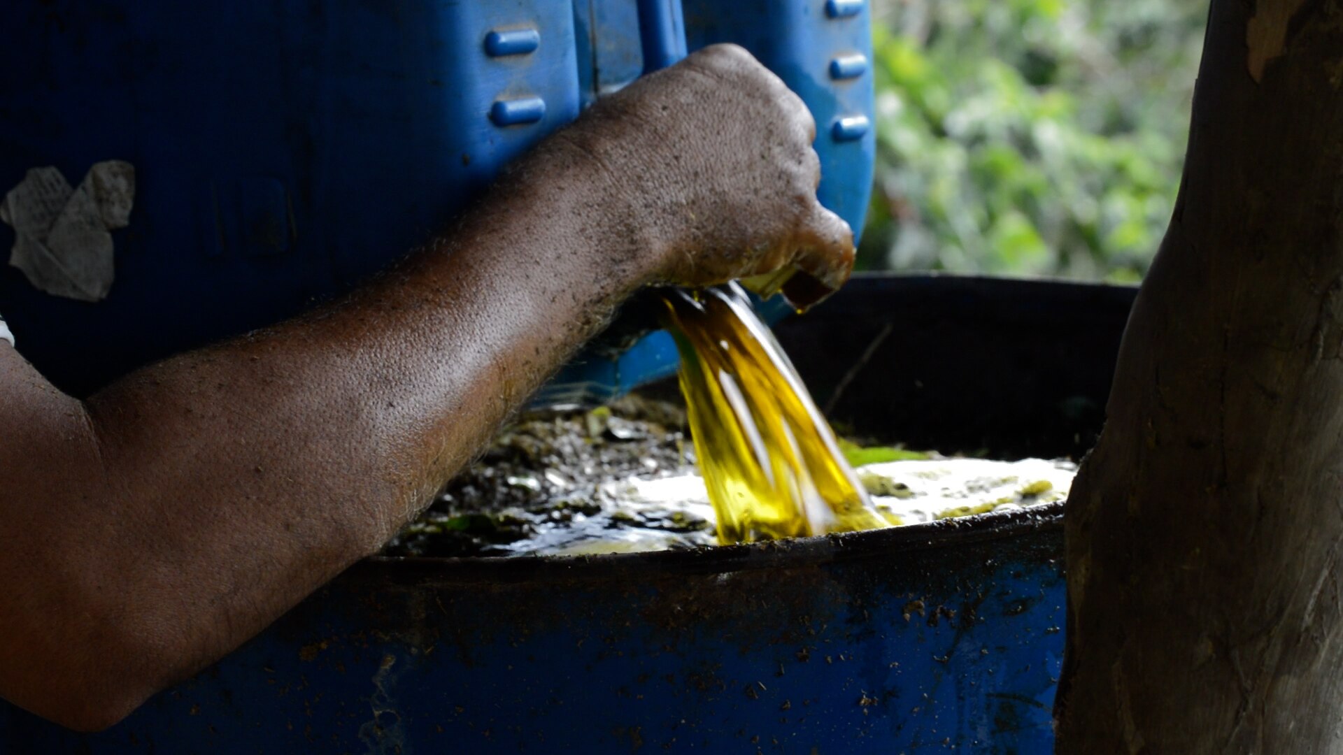 One stage of the production of the illicit substance cocaine in ...