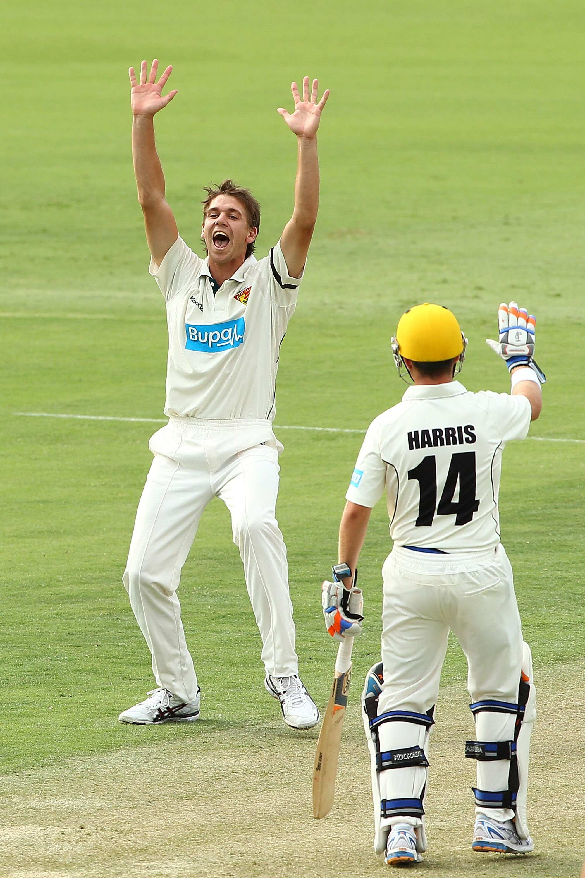 Back woes force Tasmania's Luke Butterworth out of first-class cricket ...