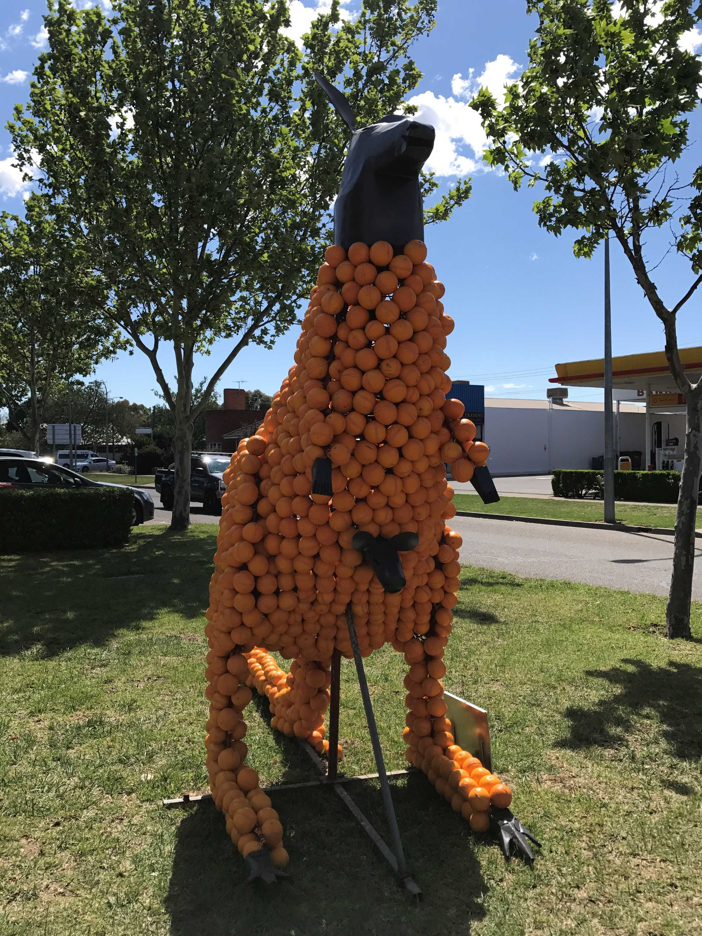 Citrus sculptures to squeeze thousands of visitors into Griffith's ...