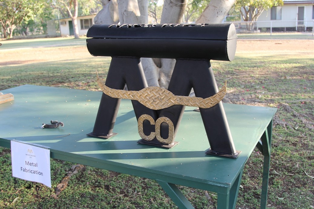 Australian Agricultural Company ringers showcase their skills in the ...