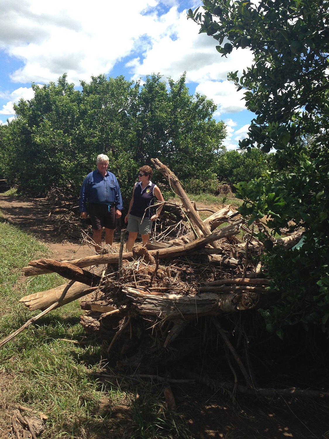 Tropical Cyclone Marcia: Gayndah citrus grower hit by floods for second ...